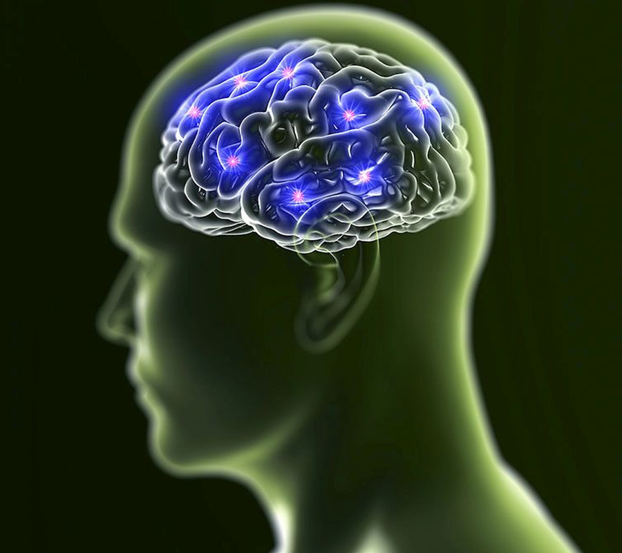 Spezialist:innen für Neurologische Rehabilitation von Menschen mit ... Spezialist:innen für Neurologische Rehabilitation von Menschen mit ...
